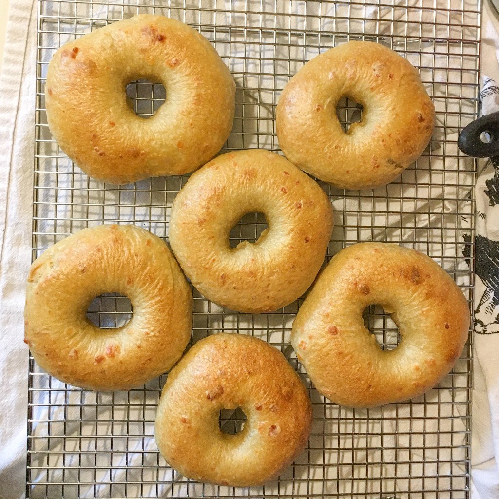 GREEN CHILI + CHEESE SOURDOUGH BAGELS – WORTHINGTON EATS