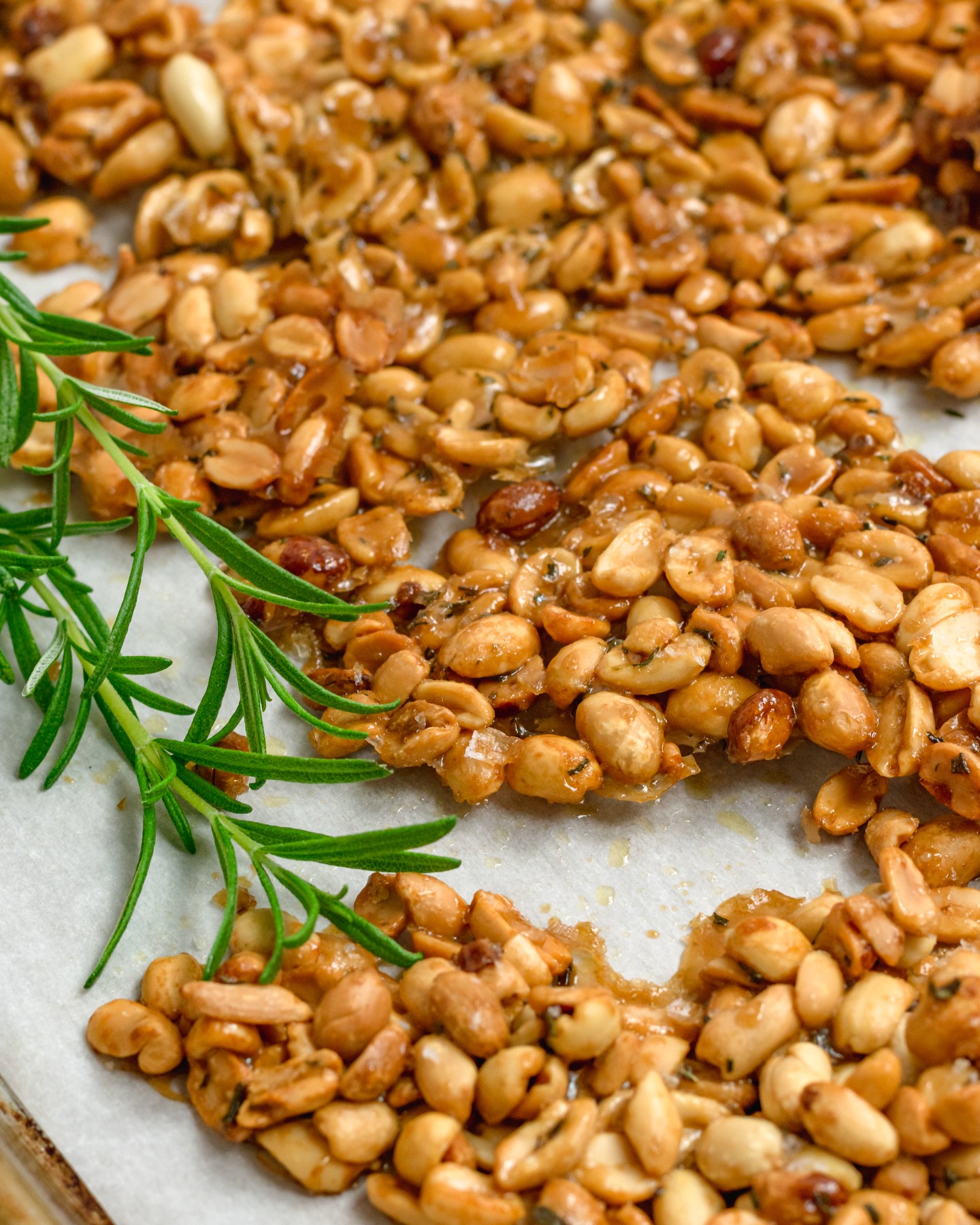 MAPLE ROSEMARY PEANUT BRITTLE – WORTHINGTON EATS